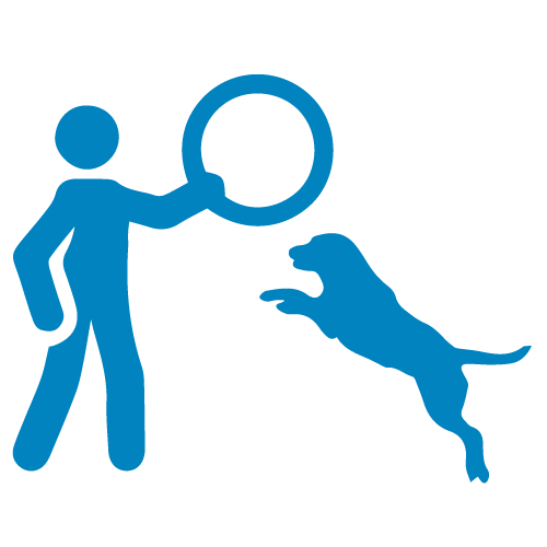 Classes – Dream Dogs Training Center