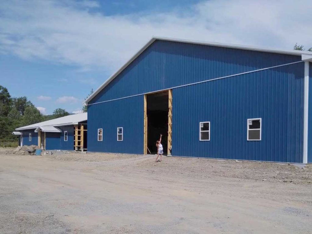 Home - Dream Dogs Training Center